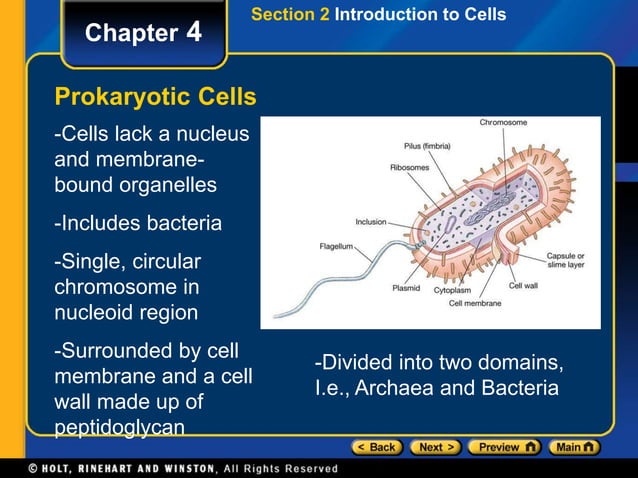 Cell Biology ppt | PPTX