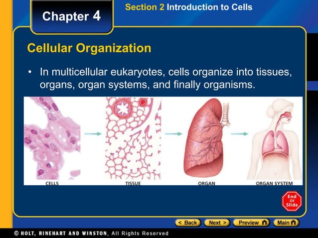 Cell Biology ppt | PPTX
