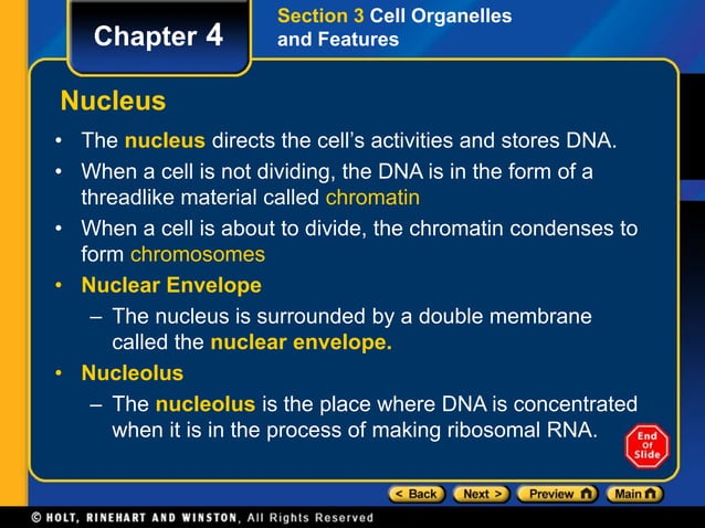 Cell Biology ppt | PPTX