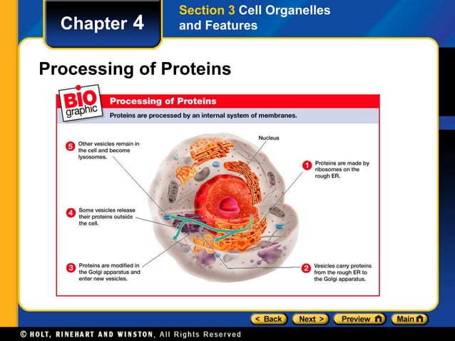 Cell Biology ppt | PPTX