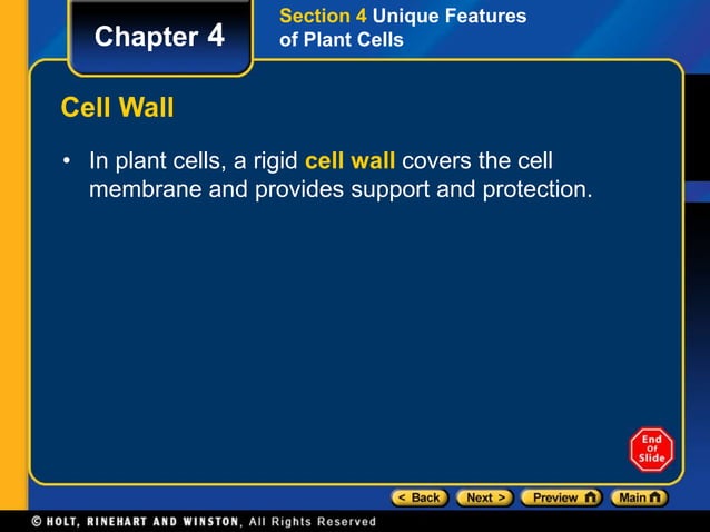 Cell Biology ppt | PPTX