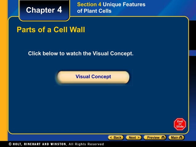 Cell Biology ppt | PPTX
