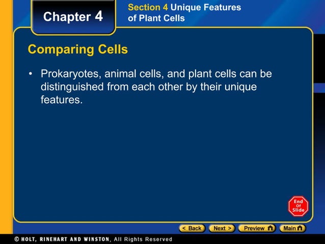 Cell Biology ppt | PPTX