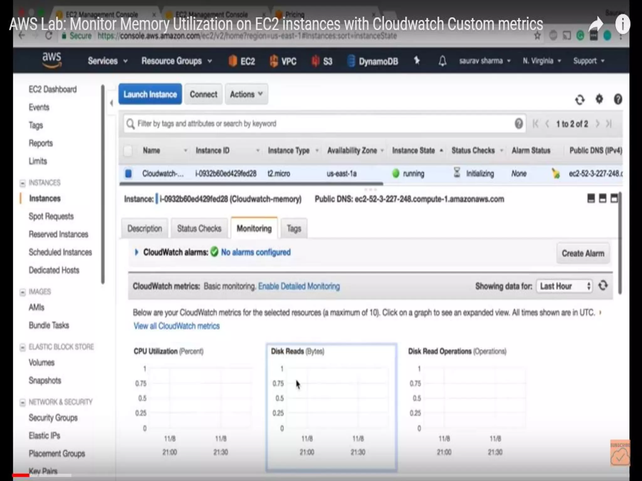 Aws principle services: IAM,VPC, EC2, Cloudwatch | PPT