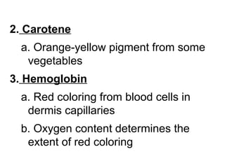 Ch 4 dermis -class | PPT