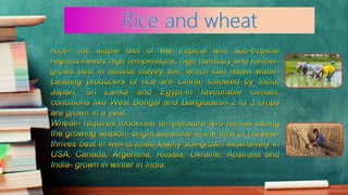 Ch 4 geo. agriculture | PPTX