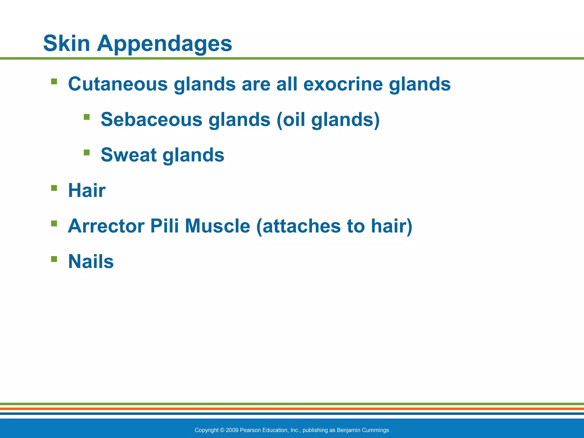 Ch4ppt integument | PPT