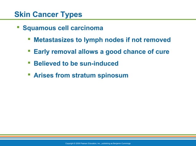 Ch4ppt integument | PPT