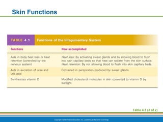 Ch4ppt integument | PPT
