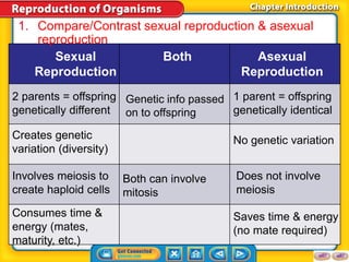 Ch 4.1 & 4.2 reproduction comparison | PPTX | Infertility ...