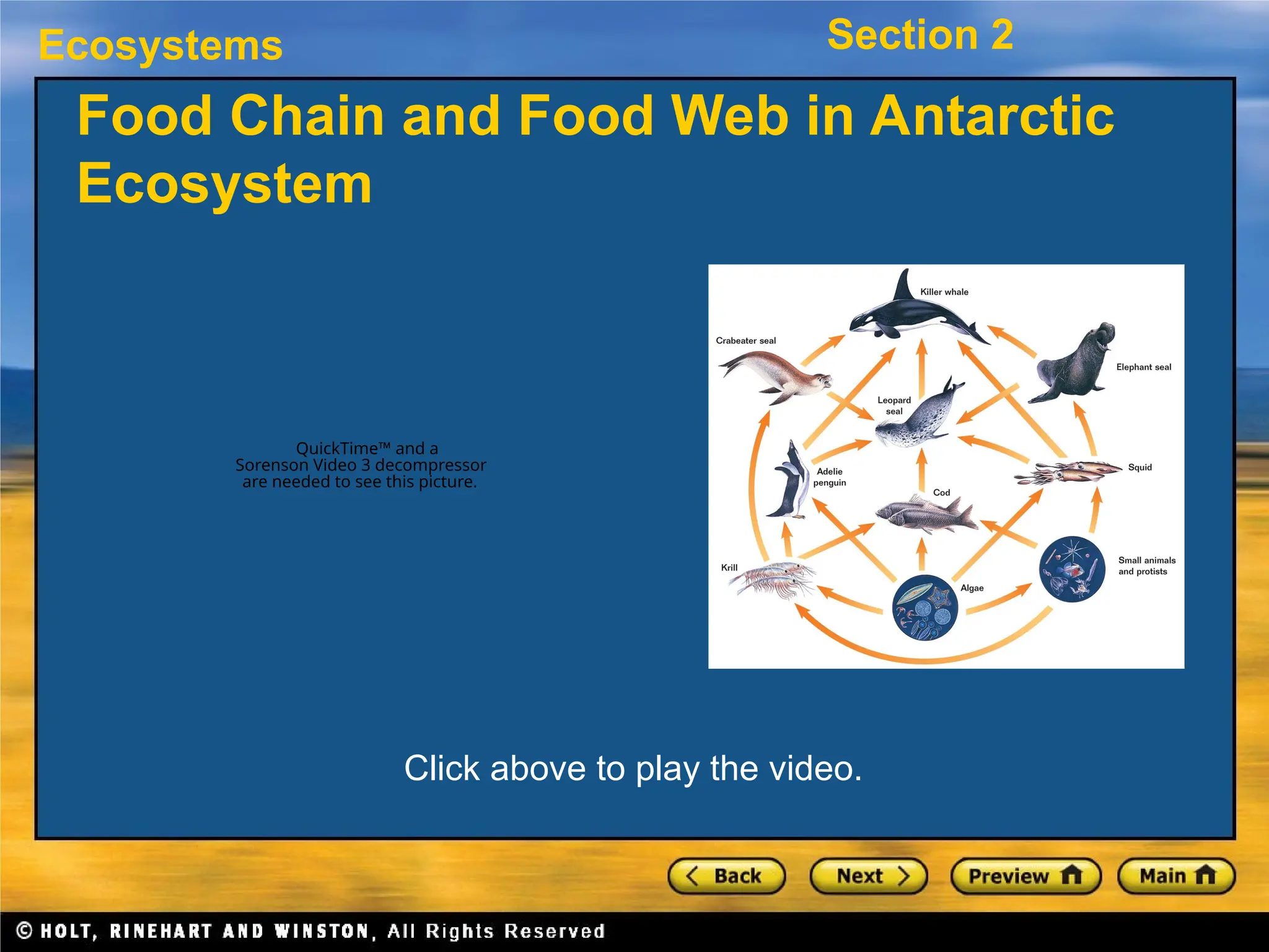 Energy flow in ecosystem, food chain , and food web | PPT