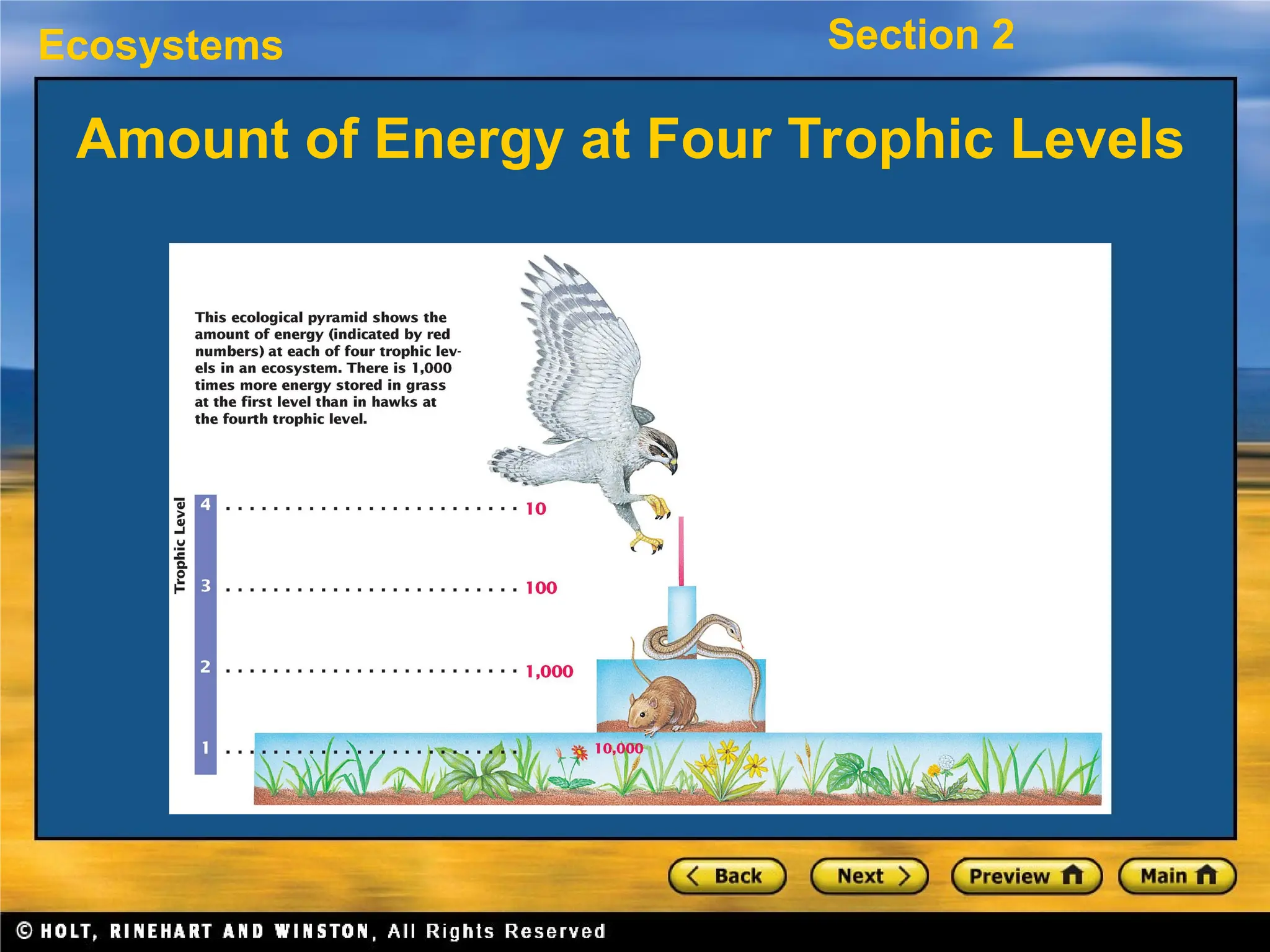Energy flow in ecosystem, food chain , and food web | PPT