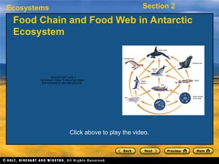 Energy flow in ecosystem, food chain , and food web | PPT