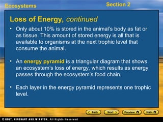 Energy flow in ecosystem, food chain , and food web | PPT