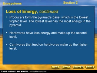Energy flow in ecosystem, food chain , and food web | PPT