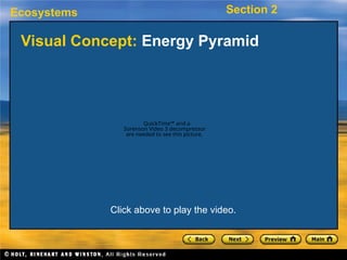 Energy flow in ecosystem, food chain , and food web | PPT