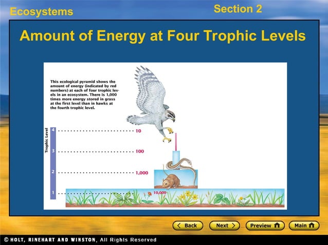 Energy flow in ecosystem, food chain , and food web | PPT