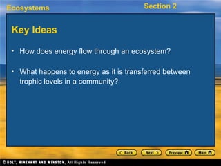 Energy flow in ecosystem, food chain , and food web | PPT