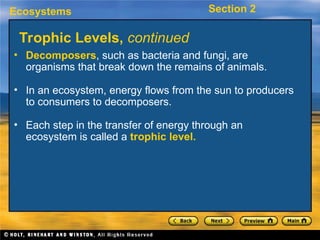 Energy flow in ecosystem, food chain , and food web | PPT