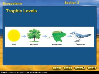 Energy flow in ecosystem, food chain , and food web | PPT