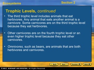 Energy flow in ecosystem, food chain , and food web | PPT