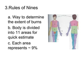 Ch 4 skin problems | PPT