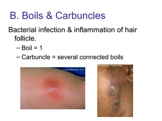 Ch 4 skin problems | PPT