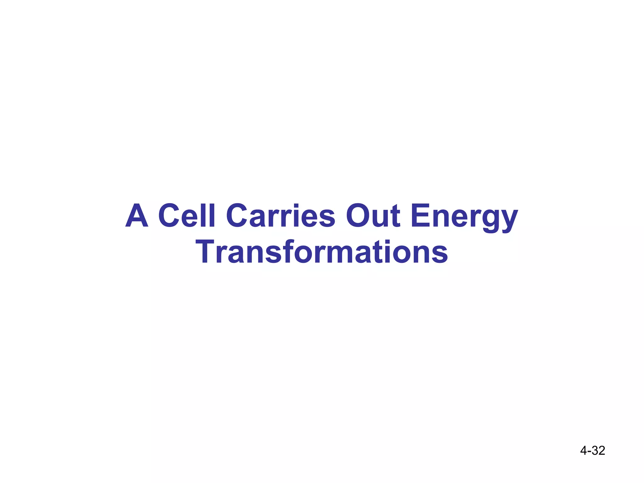 Ch 4 structure and function of cells | PPT