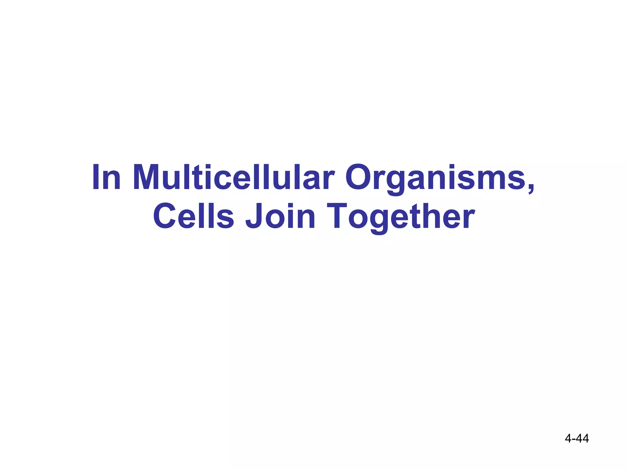 Ch 4 structure and function of cells | PPT