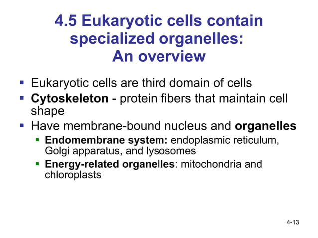 Ch 4 structure and function of cells | PPT