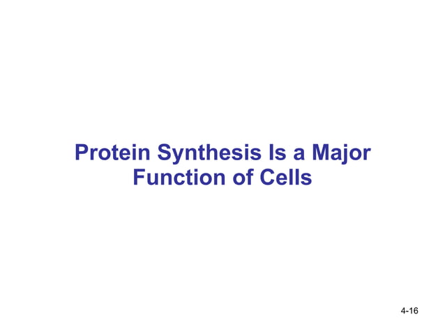 Ch 4 structure and function of cells | PPT