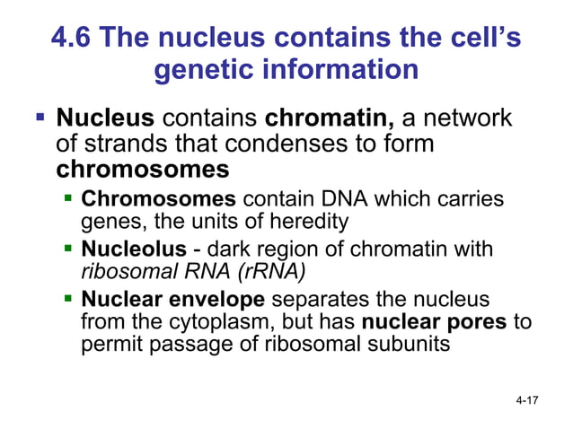 Ch 4 structure and function of cells | PPT