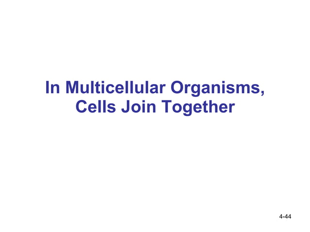 Ch 4 structure and function of cells | PPT