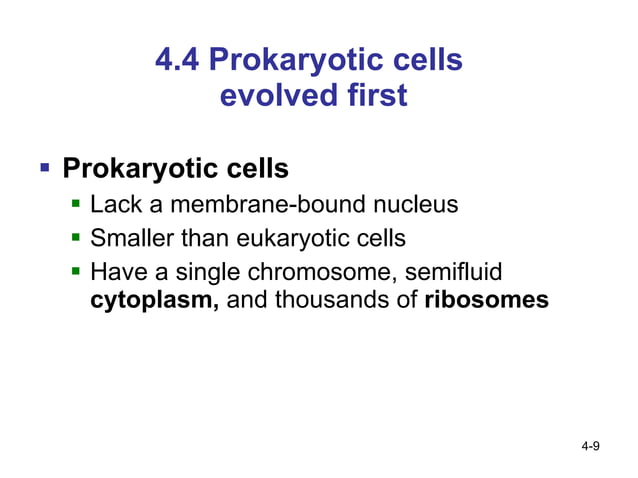 Ch 4 structure and function of cells | PPT
