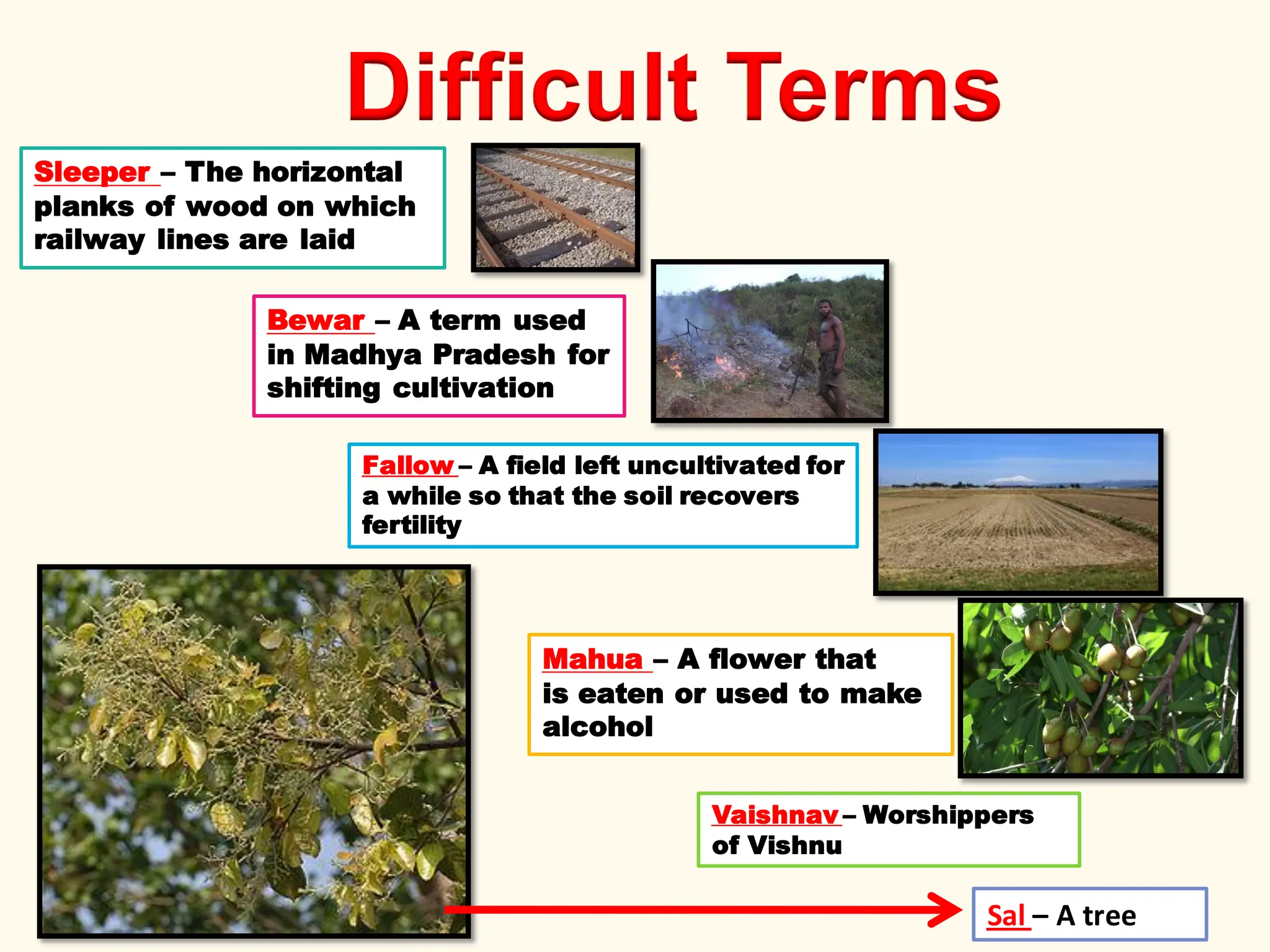 Ch 4 Tribals, Dikus and the Vision of a Golden Age 1.pdf