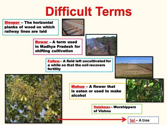 Ch 4 Tribals, Dikus and the Vision of a Golden Age 1.pdf