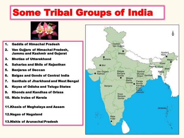 Ch 4 Tribals, Dikus and the Vision of a Golden Age 1.pdf