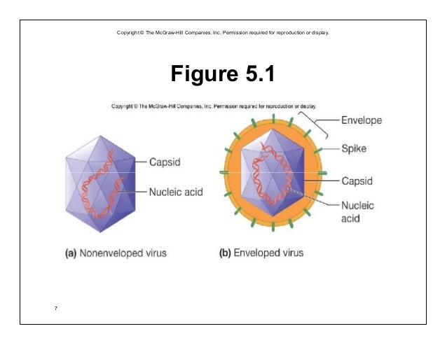Viruses and Other Acellular Infectious Agents