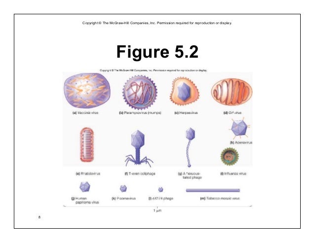 Viruses and Other Acellular Infectious Agents