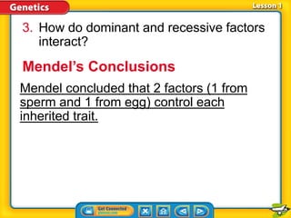 Ch 5.1 Mendel's Experiments with Peas | PPTX