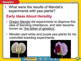 Ch 5.1 Mendel's Experiments with Peas | PPTX