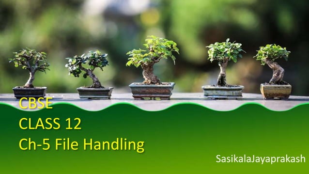 CBSE - Class 12 - Ch -5 -File Handling , access mode,CSV , Binary file | PPTX | Programming ...