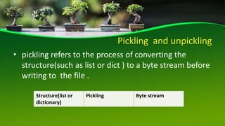 CBSE - Class 12 - Ch -5 -File Handling , access mode,CSV , Binary file | PPTX