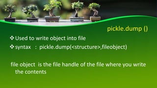 CBSE - Class 12 - Ch -5 -File Handling , access mode,CSV , Binary file | PPTX