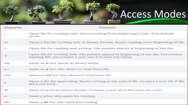 Cbse Class 12 Ch 5 File Handling Access Modecsv Binary File Pptx Programming