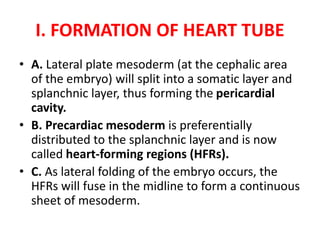Ch 5. CVS.pptxgjjhnmkikuygfvbnkjikkuytfv | PPT