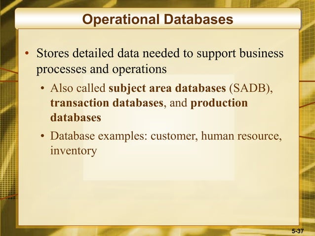 ch 5 Data Resource Management Data Resource Management .ppt