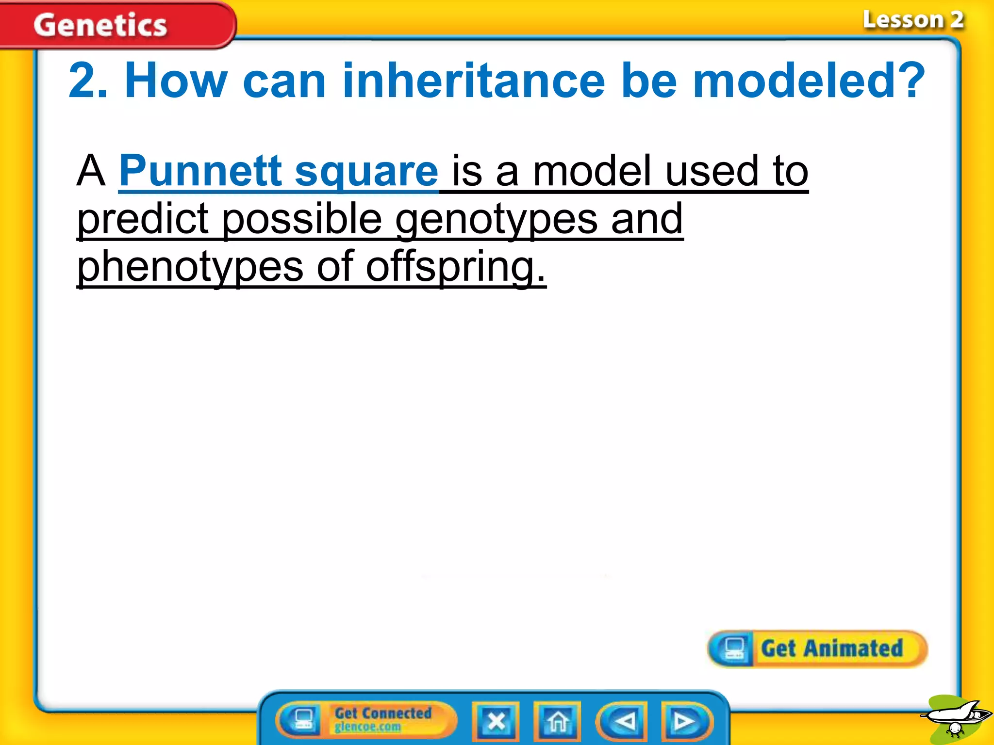 Ch 5 2 understanding inheritance (k) | PPTX