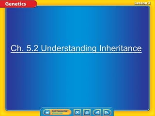 Ch 5 2 understanding inheritance (k) | PPT