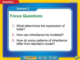 Ch 5 2 understanding inheritance (k) | PPTX
